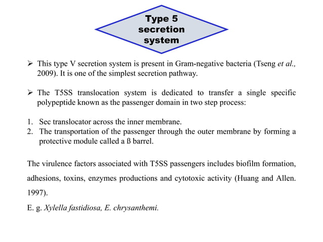 virulence of plant pathogenic bacteria.pptx