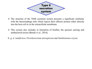 virulence of plant pathogenic bacteria.pptx