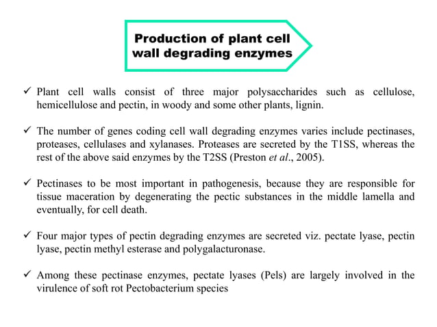 virulence of plant pathogenic bacteria.pptx