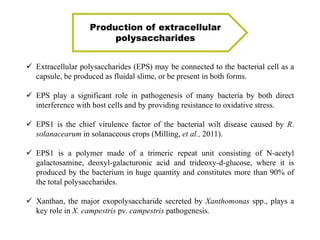 virulence of plant pathogenic bacteria.pptx