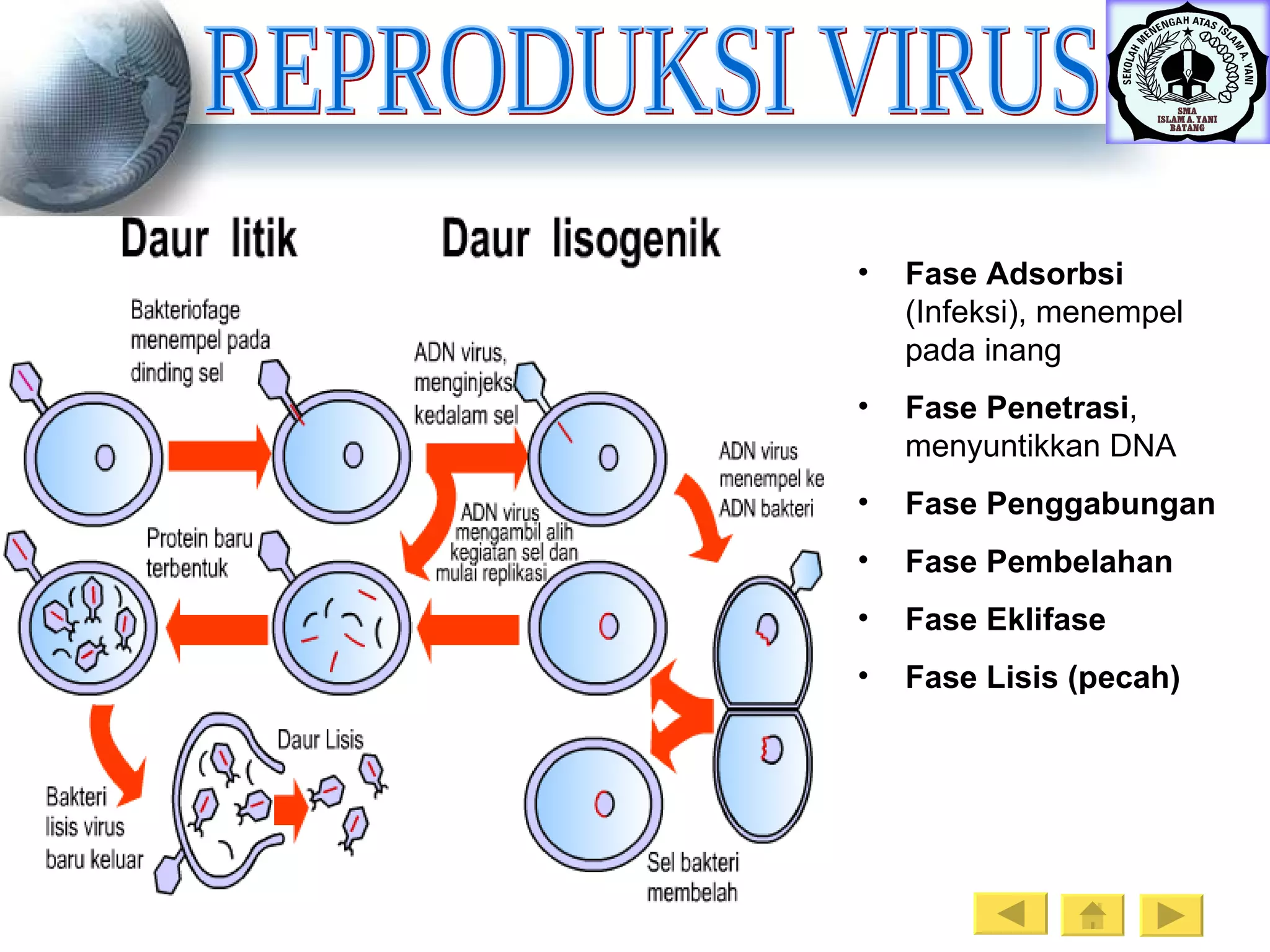 Virus | PPT