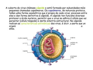 Virus 09c05 | PPT