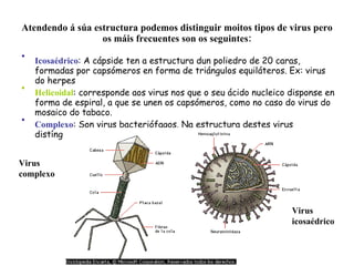 Virus 09c05 | PPT