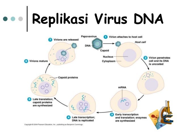 How to reset virus ti - sopium