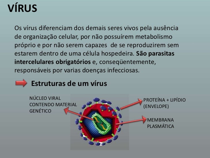 Biologia- Virus