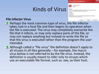 Virus | PPT