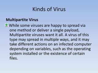Virus | PPT
