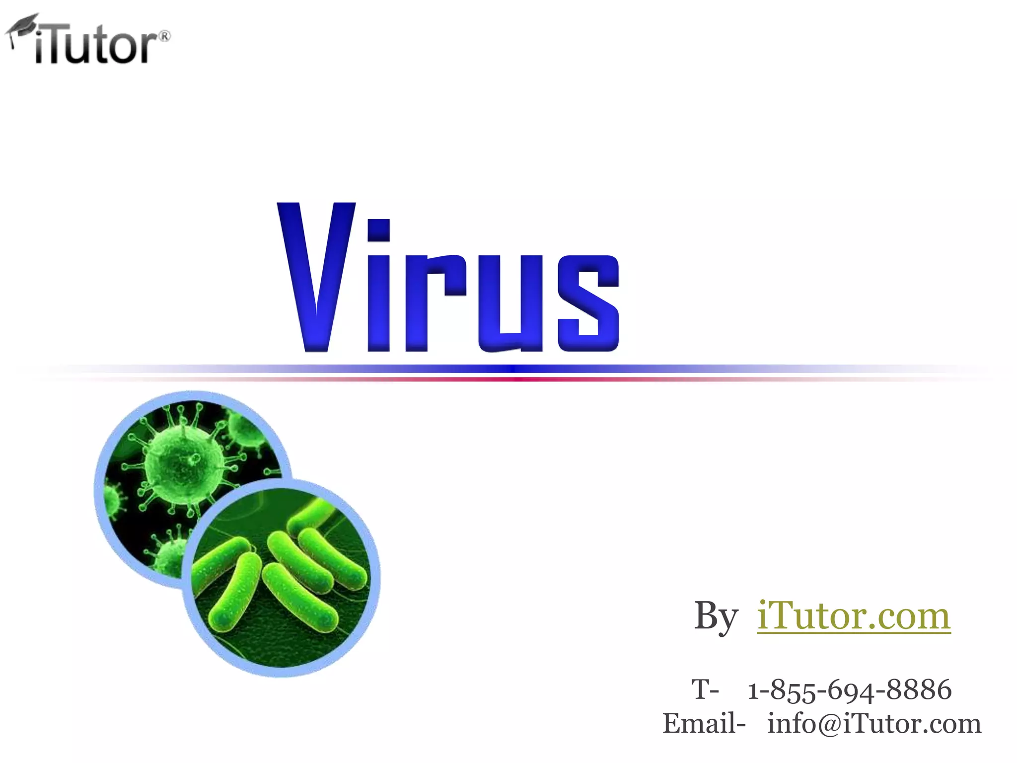 Virus | PPT