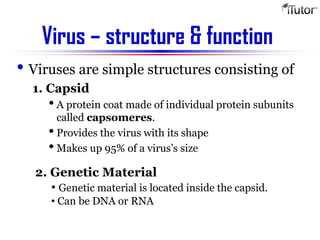 Virus | PPT