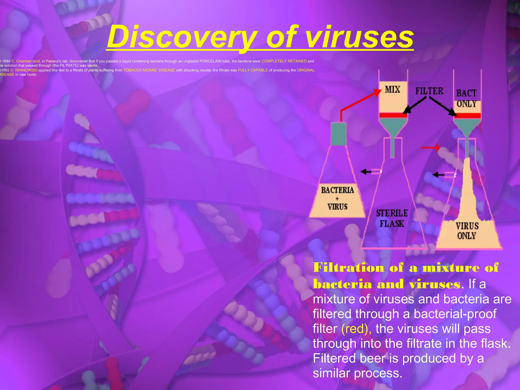 Virus ppt | PPT