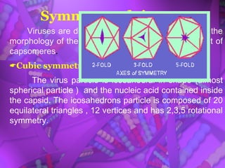 Virus ppt | PPT