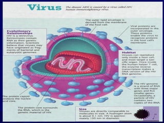 Virus | PPT
