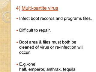 Virus slides | PPT