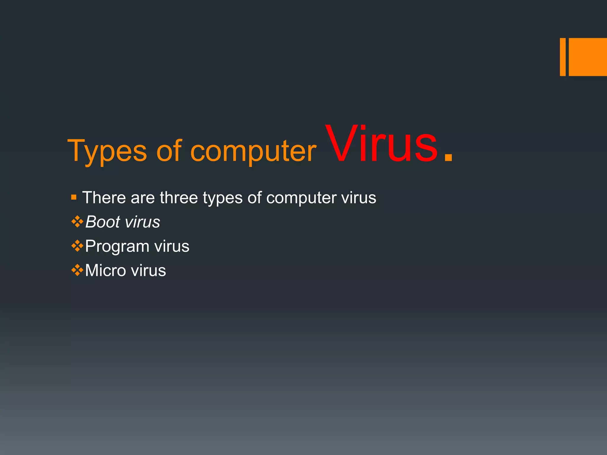 Computer Virus powerpoint presentation | PPTX