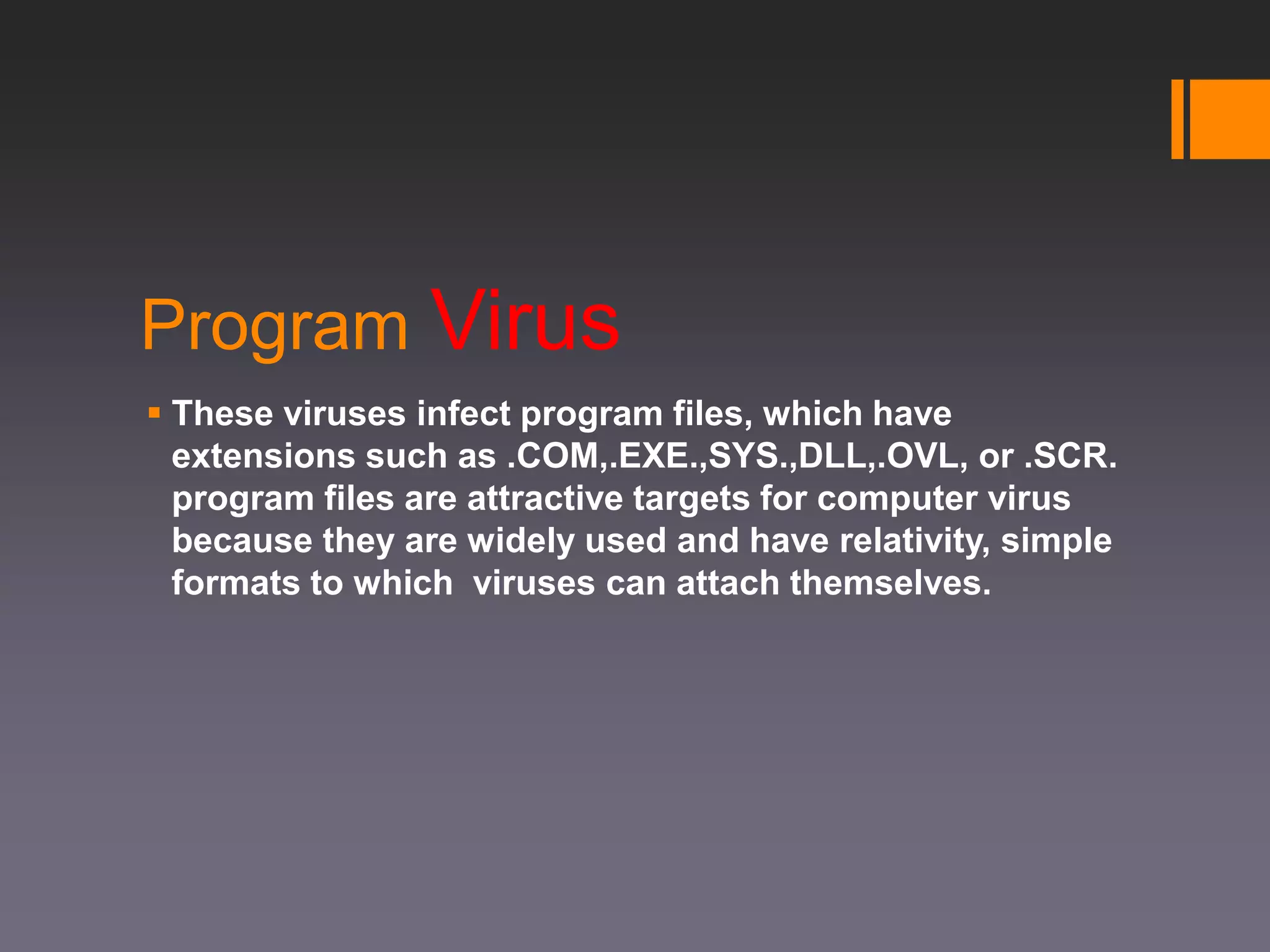 Computer Virus powerpoint presentation | PPTX