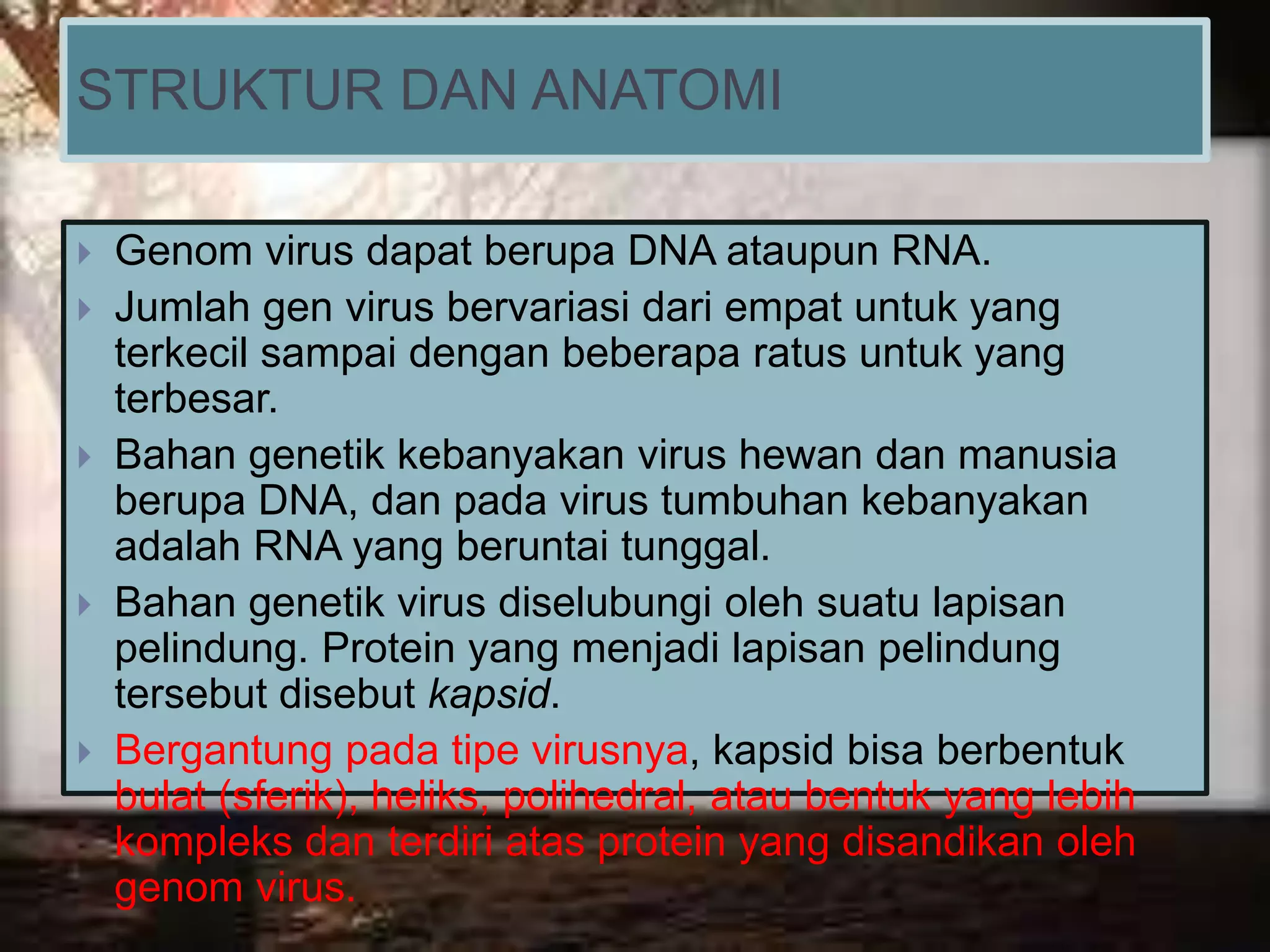 Virus kelas X | PPTX