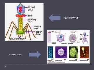 Virus kelas X | PPTX