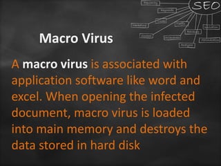Virus | PPT