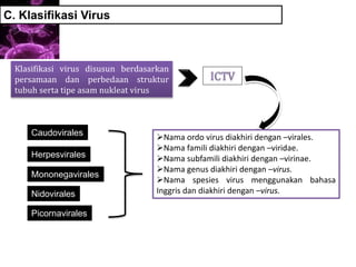 Virus | PPTX