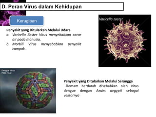 Virus | PPTX
