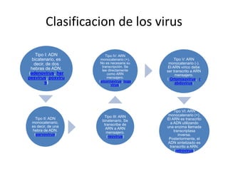 Virus (Morfología,Componentes y Replicación). | PPTX