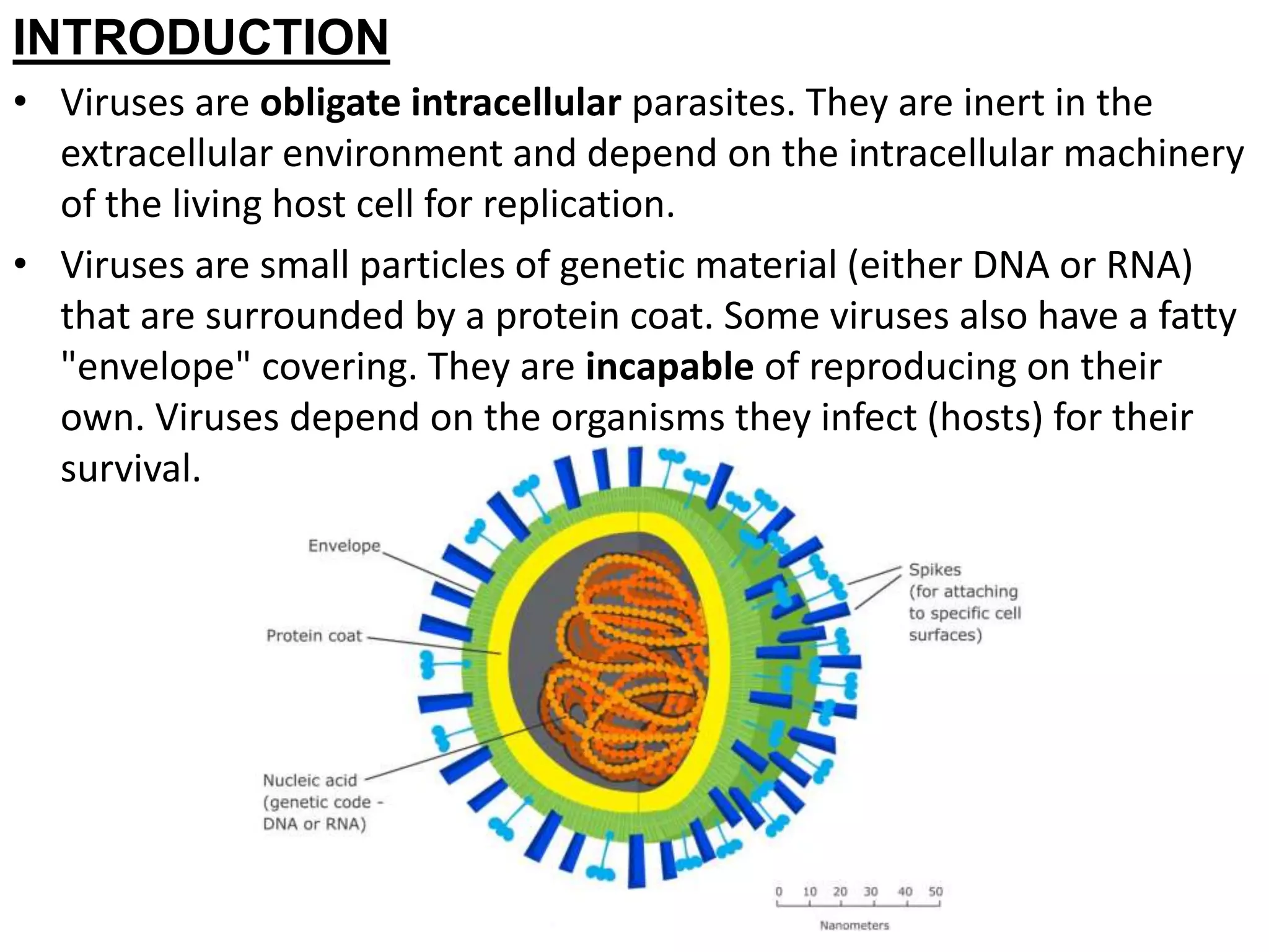 Virual infections | PPTX