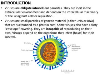 Virual infections | PPTX