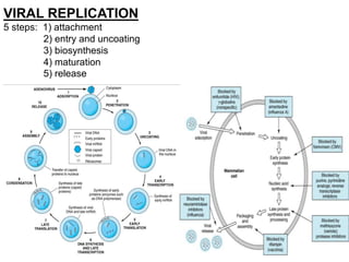 Virual infections | PPTX