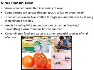 Virual infections | PPTX