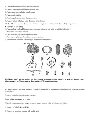 Virus | PDF