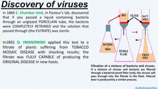 Virus | PPTX