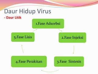 Virus | PPTX