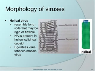 Virus | PPT