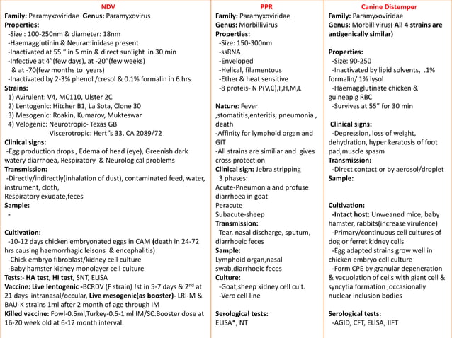 virus structure,cultural properties, serological identification | PPT