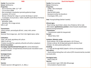 virus structure,cultural properties, serological identification | PPT