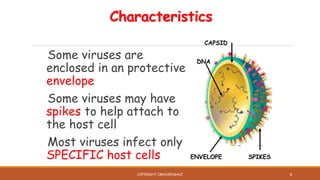 Virus | PPTX | Biological Sciences | Science