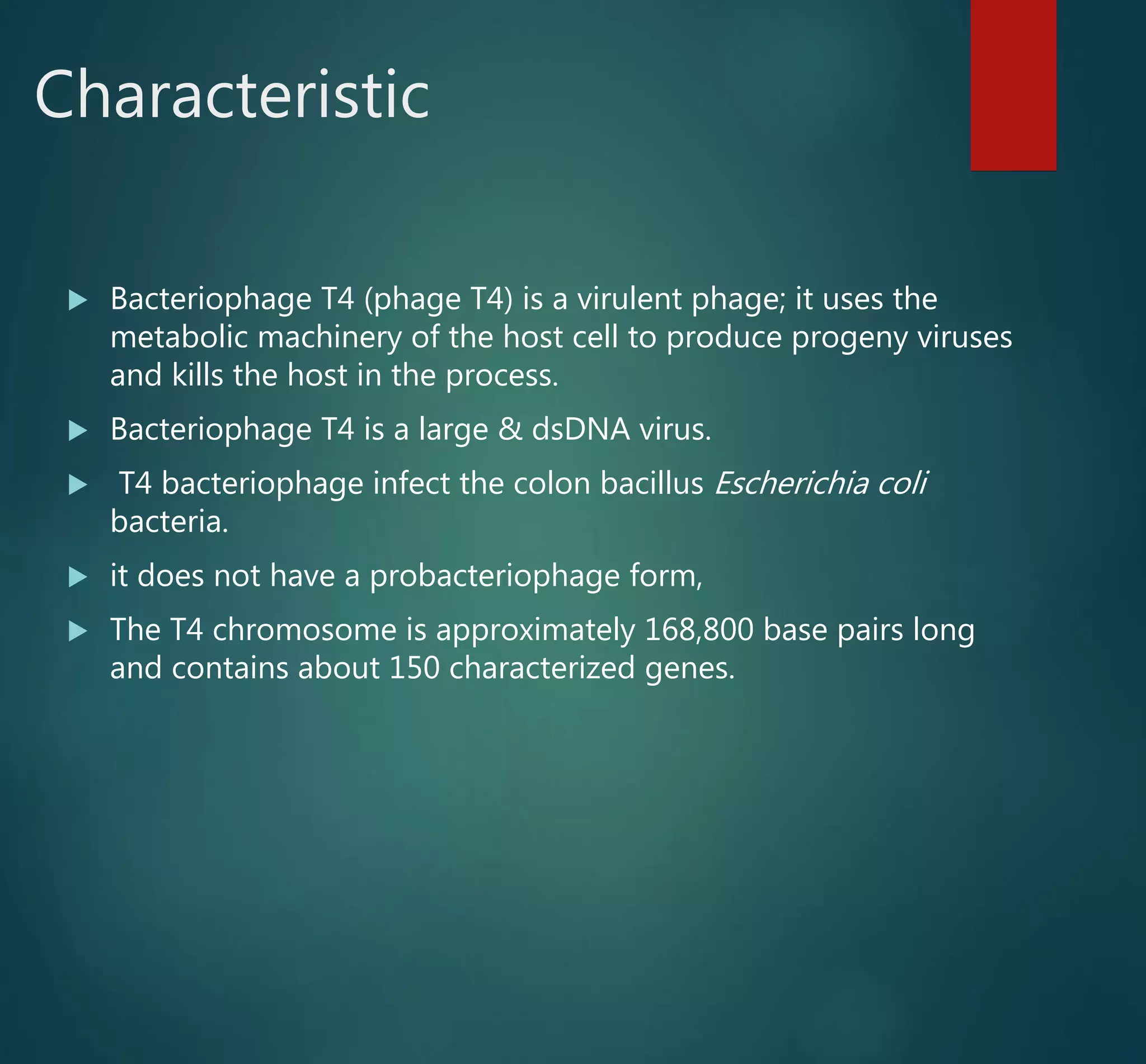 t4 bacteriohage | PPTX