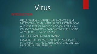 Virus | PPT