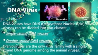 What are Virus? living or dead? Virus have DNA/ RNA | PPTX