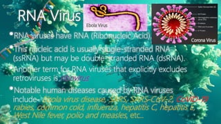 What are Virus? living or dead? Virus have DNA/ RNA | PPTX
