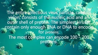 What are Virus? living or dead? Virus have DNA/ RNA | PPTX