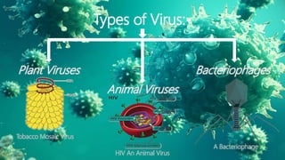 What are Virus? living or dead? Virus have DNA/ RNA | PPTX