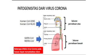 Virus | PPTX