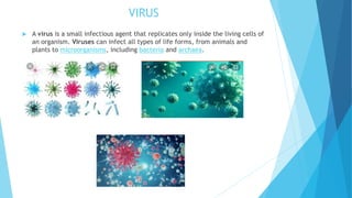 OVERVIEW OF VIRUS | PPTX | Biological Sciences | Science