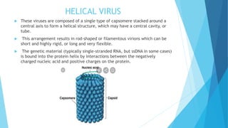 OVERVIEW OF VIRUS | PPTX | Biological Sciences | Science