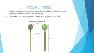 OVERVIEW OF VIRUS | PPTX | Biological Sciences | Science