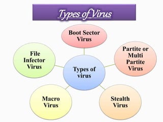 Virus | PPTX | Infectious Diseases | Diseases and Conditions