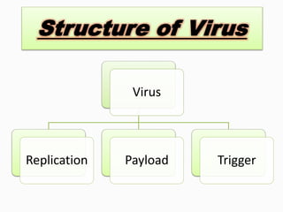 Virus | PPTX | Infectious Diseases | Diseases and Conditions