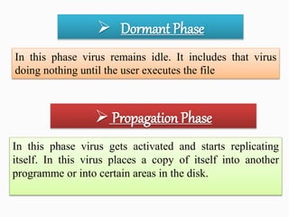 Virus | PPTX | Infectious Diseases | Diseases and Conditions