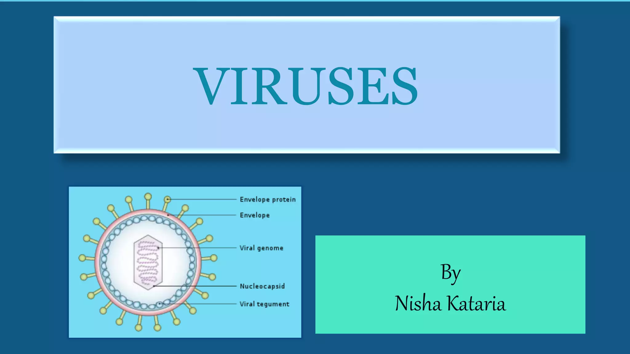 Viruses : characteristics, structure, reproduction , transmission and ...
